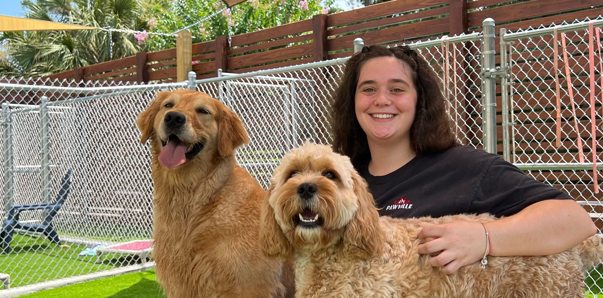 Pawleys – Pawville